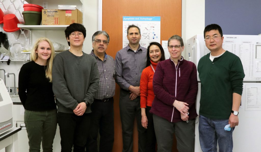 Lab Members - Sheibani Lab
